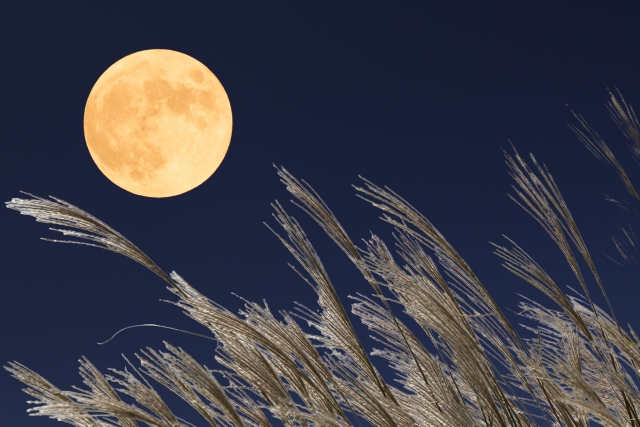 Admiring the Moon: The Charm of Japan’s Tsukimi Tradition ...